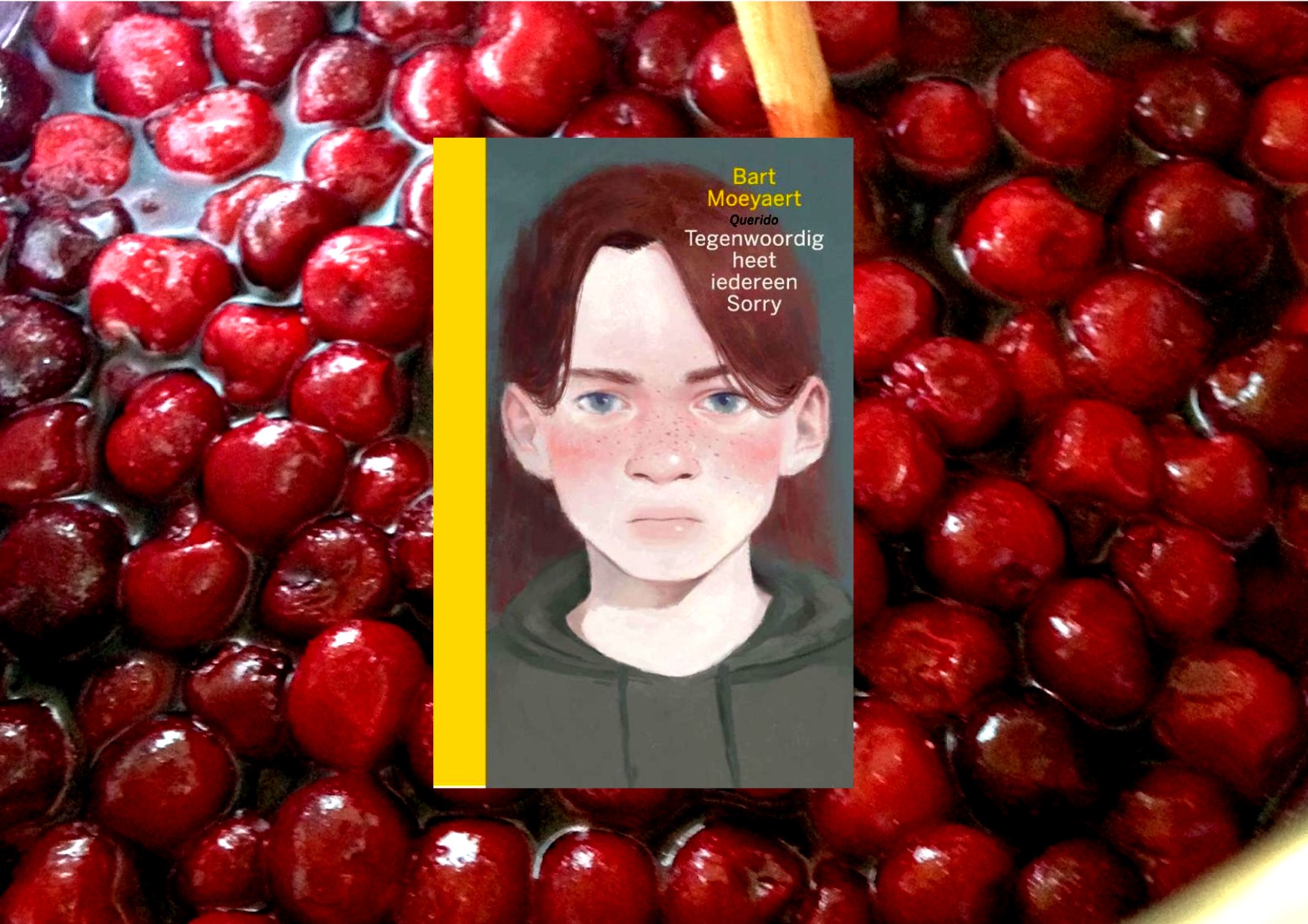 Tegenwoordig heet iedereen Sorry – Bart Moeyaert – boek&babbel